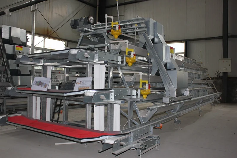 Enriched Colony System Poultry Chicken Cage Laying Hens - Buy Poultry ...