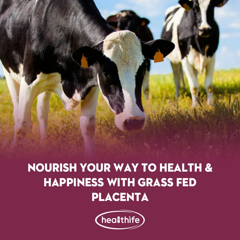OEM Grass Feed Cow Placenta Capsules - Bovine Placenta