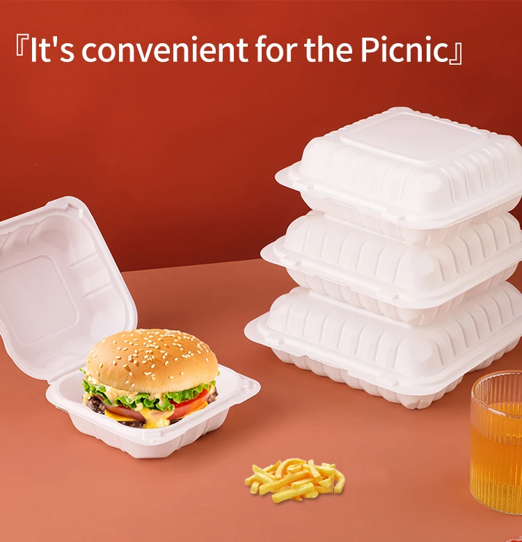 DG 6x6 6x9 8x8 9x9 Inch MFPP Hinged Container to Go Boxes