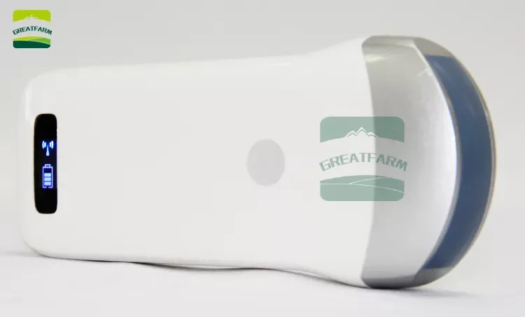 Veterinary Wireless Portable Type B-ultrasound Handheld Portable Color ...