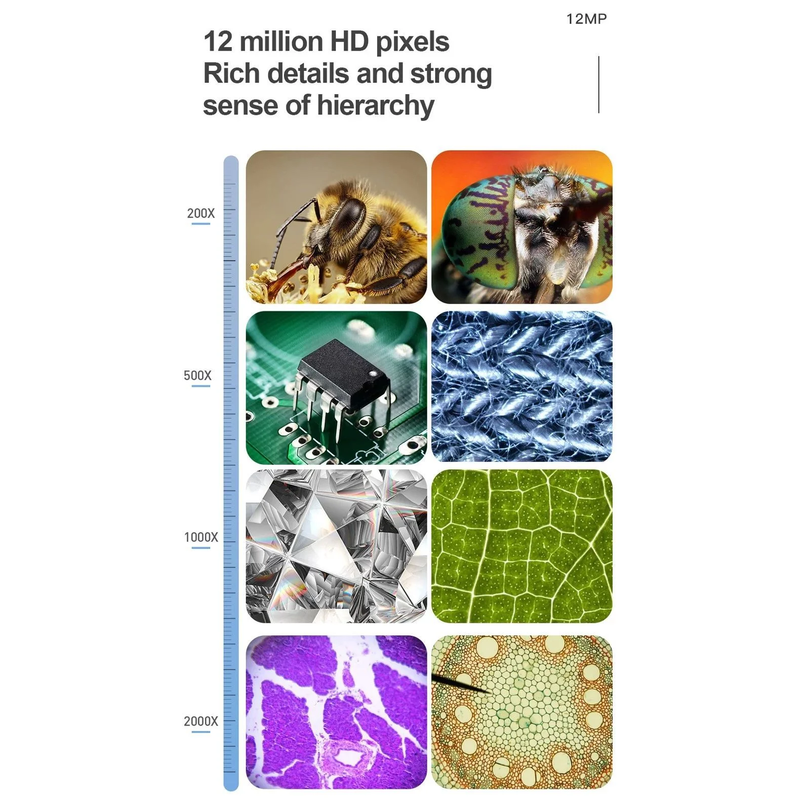 2000x Continuous Zoom Digital Microscope 7 Inch Hd Lcd Display Portable ...