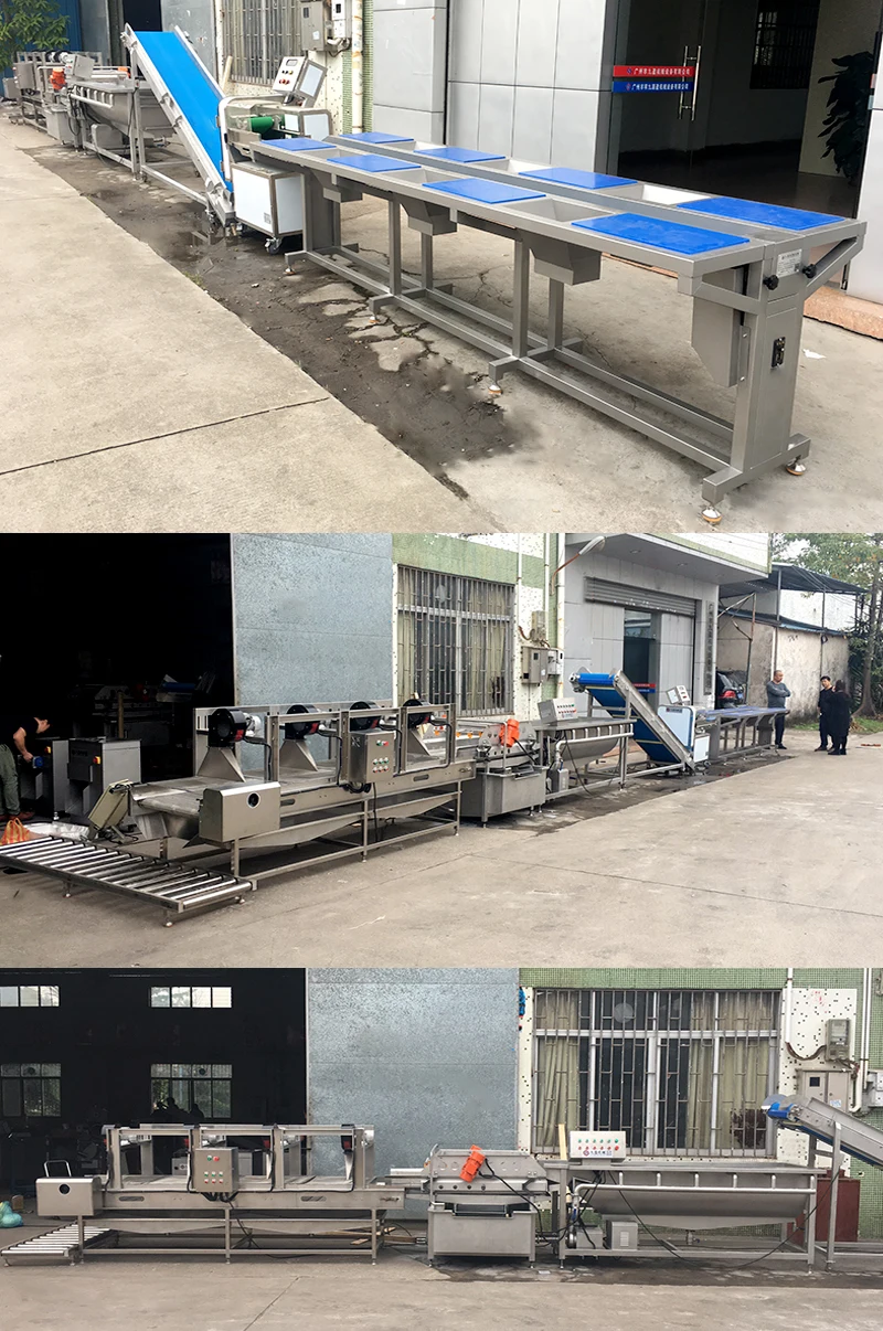 Automatic Vegetable Processing Line - Efficient & Durable