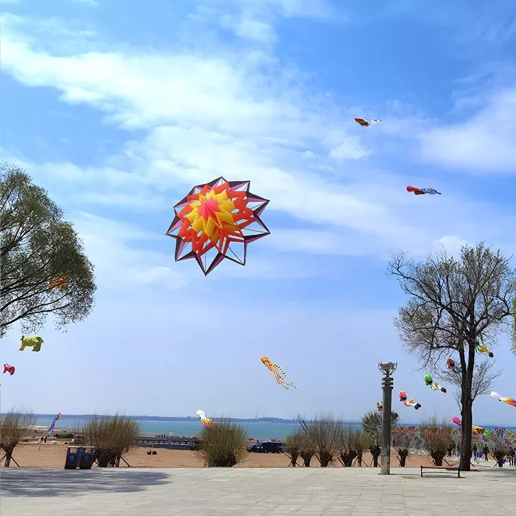 Promotional Gifts New High-quality Outdoor Sport Three-dimensional Kite ...