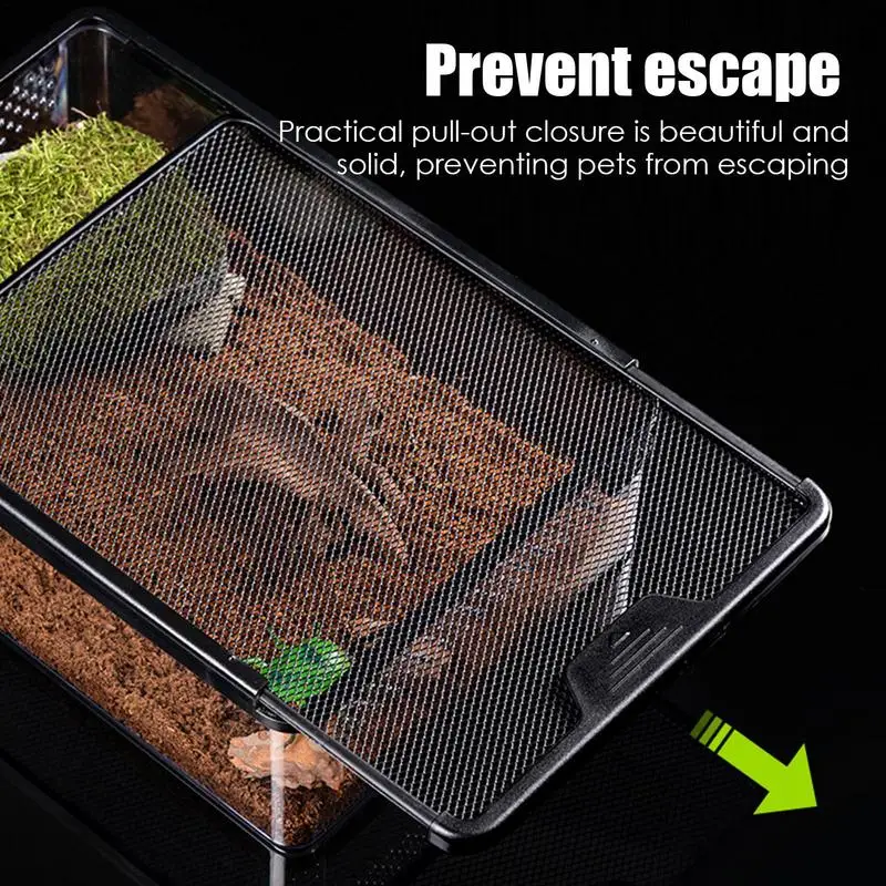 Reptile Feeding Box - Transparent, Ventilated, and Durable