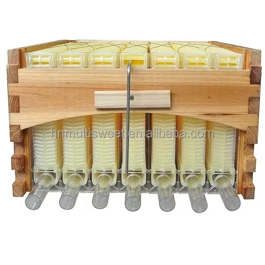 Beehive Automatic Flows - Efficient Beekeeping Solutions
