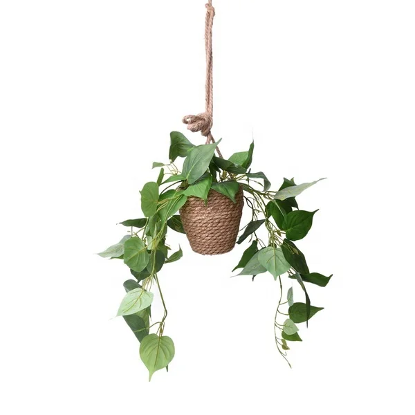 Traditional Hanging Pot跨境商机分析报告行业外贸出口趋势-阿里巴巴国际中文站官网