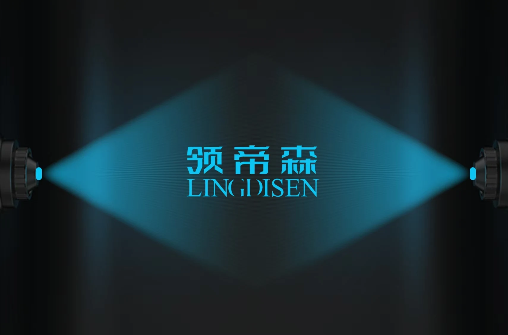 Company Overview - Ningbo Lingdi Sen Clothing Co., Ltd.