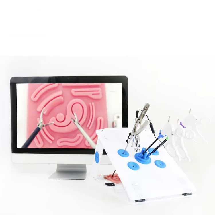 Medical Endoscopy Laparoscopic Trainer Box/ Laparoscopic Endo Trainer ...