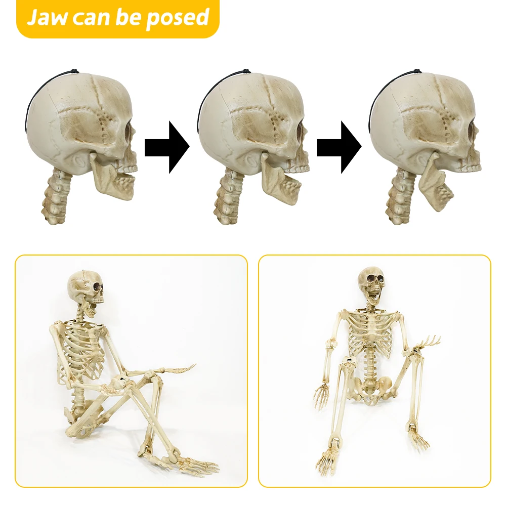 Customizable Size 165cm Realistic Plastic Skeleton Halloween-decor ...