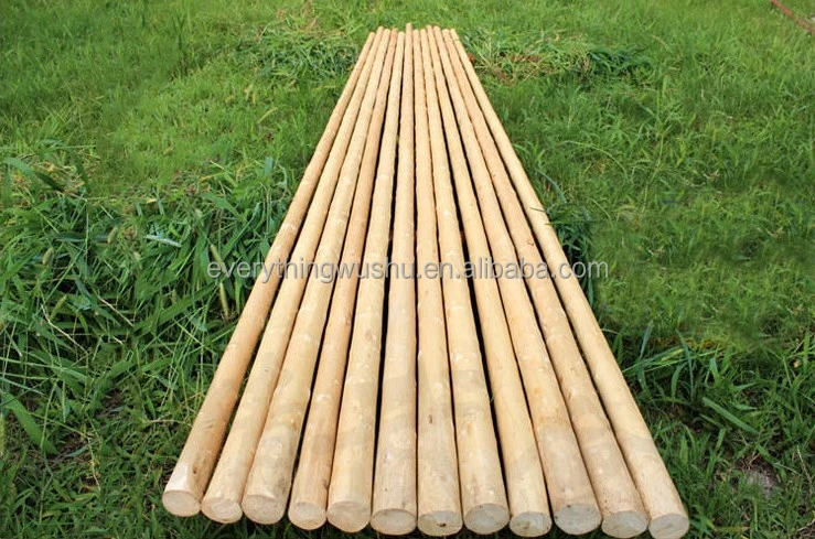 Wing Chun Long Poles - Luk Dim Boon Kwan Wushu Dragon Poles