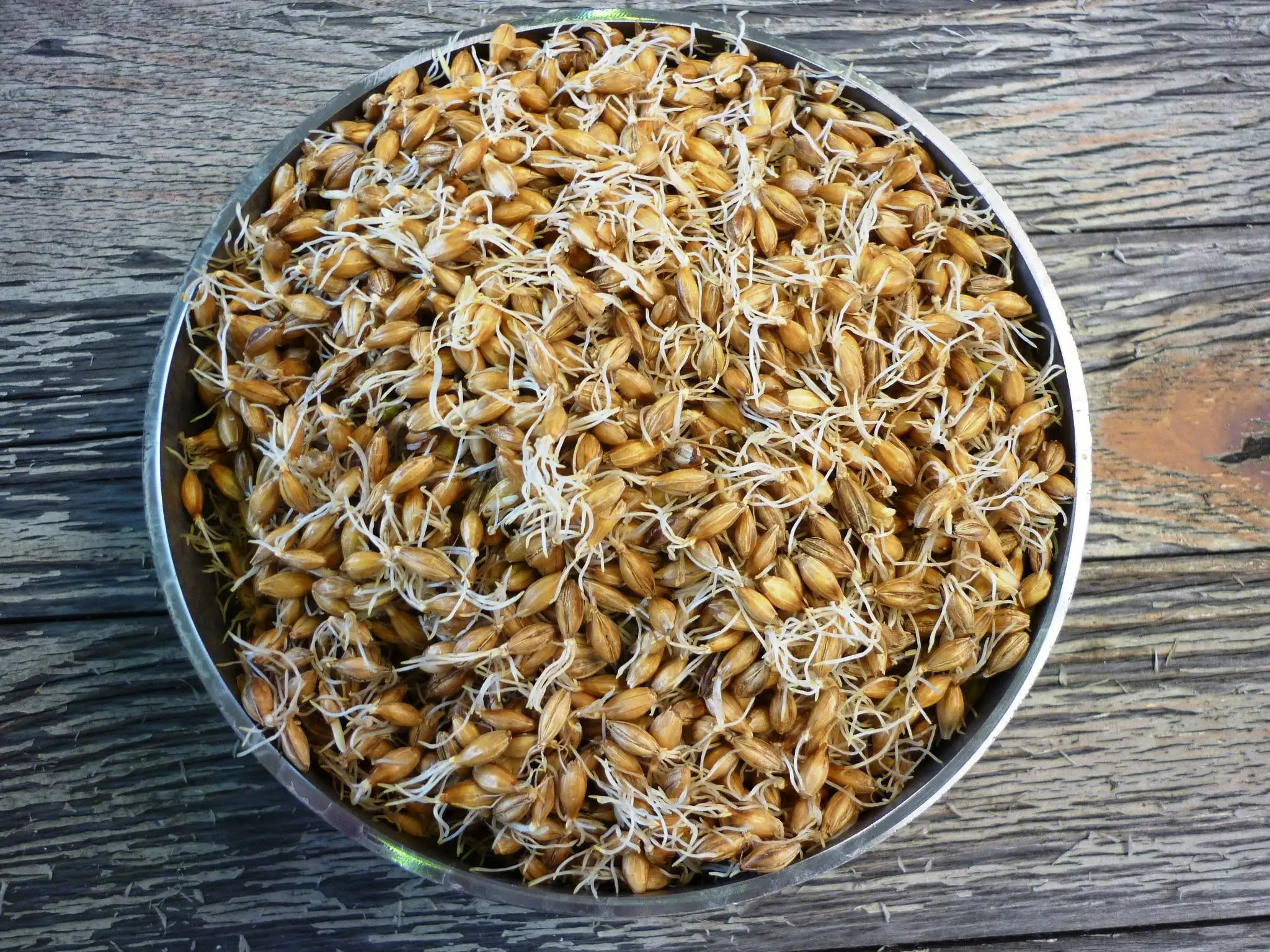 10 Ton Craft Malting Steeping Tank: Special Malt Production System