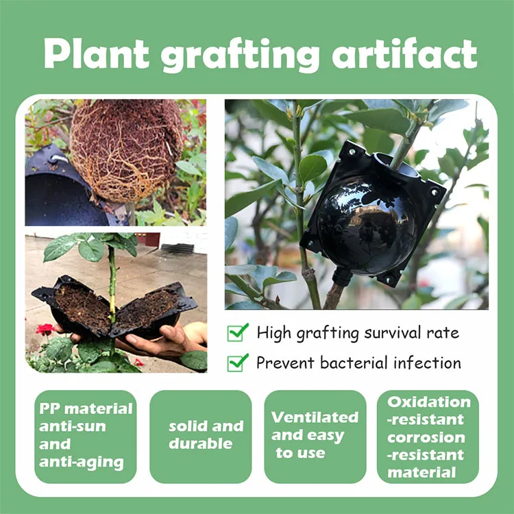 Small Rooting Air Layer Garden Accessories Plastic Plant Grafting Balls ...