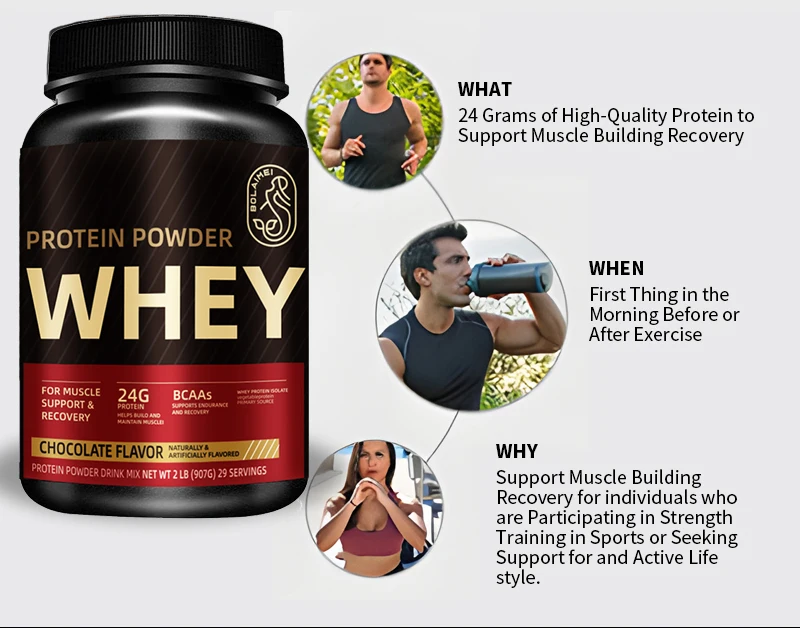 Muscle Building Protein Powder for Gym Fitness | Rapid Custom
