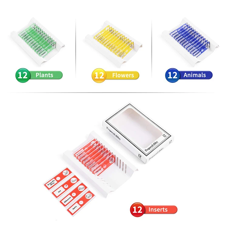12 Pcs /1box Prepared Plastic Microscope Slides Biological Specimen ...