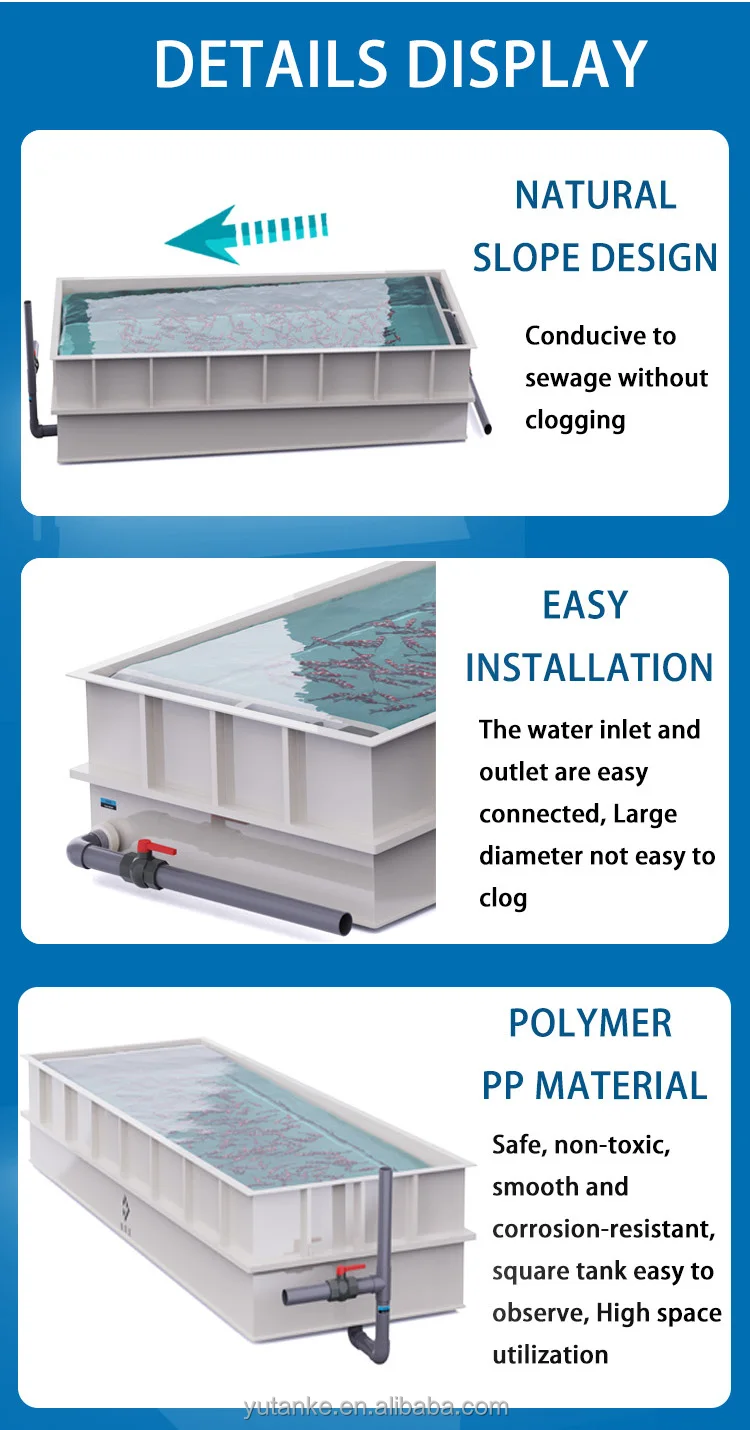 Square Fish Tanks - Durable & Efficient Aquatic Solutions