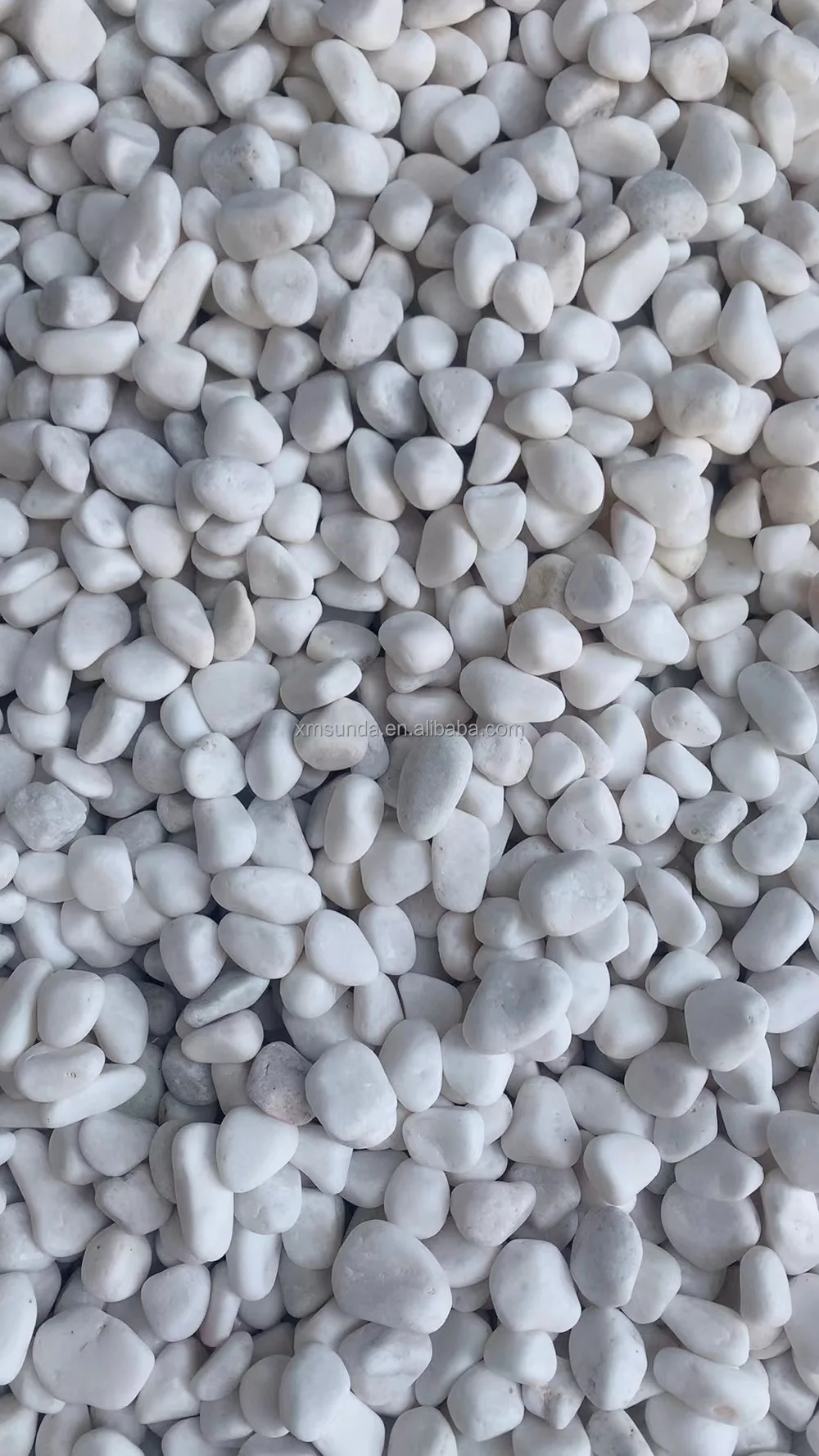 Natural Snow White Pebble Stone For Driveway Patio And Garden Tumbled ...