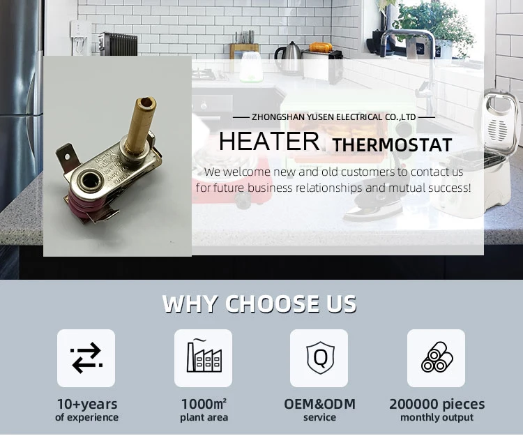2128 Iron Thermostat - Adjustable for Reliable Performance