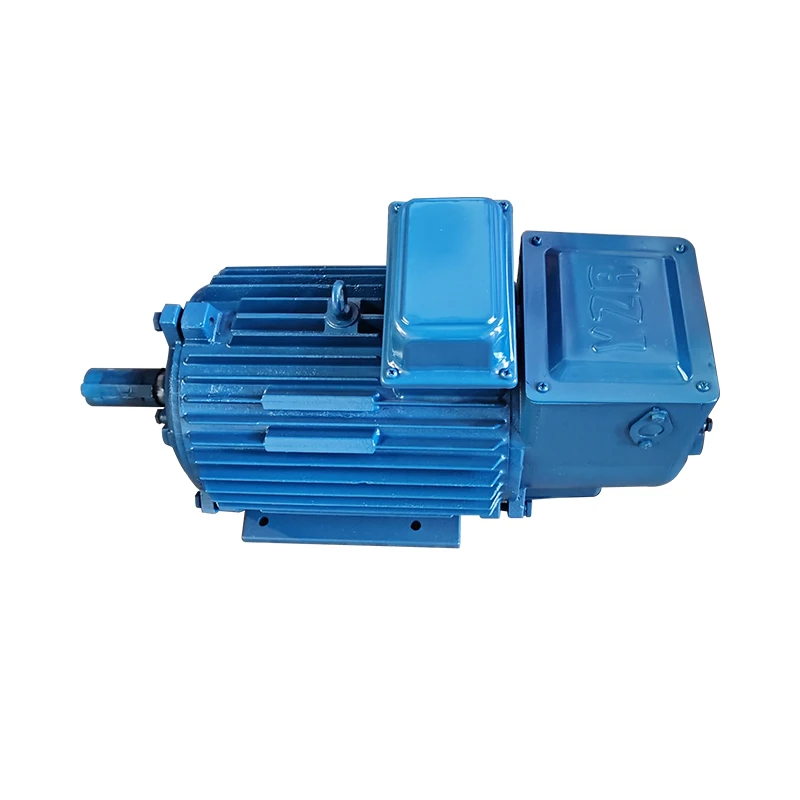 Wound Rotor Slip Ring Induction Motor - Efficient & Durable