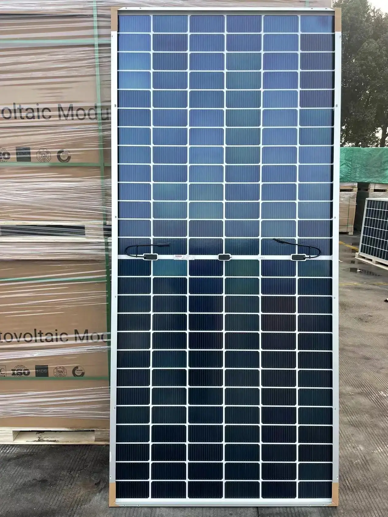 DMEGC Bifacial Solar Panels - High Efficiency & Durability