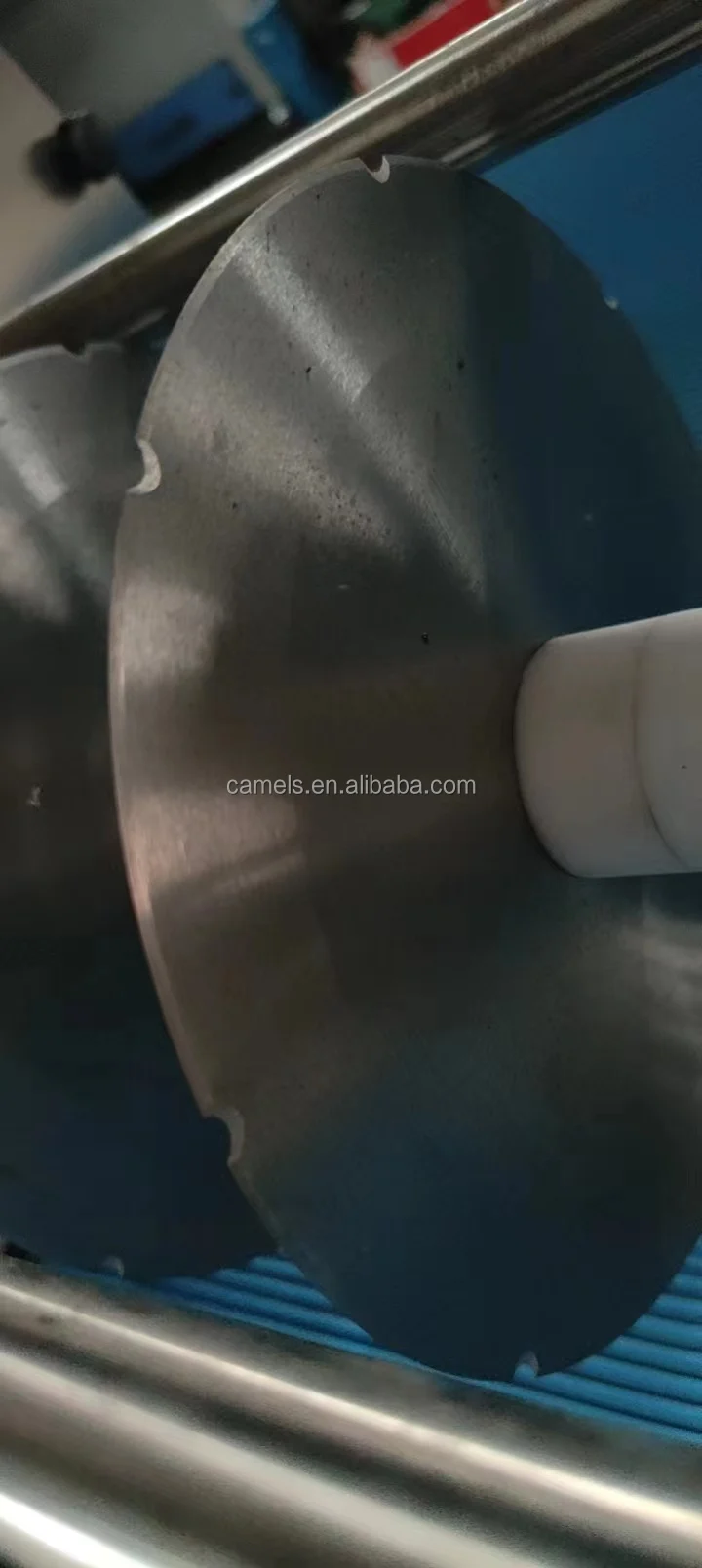 Fresh Tilapia Fish Fillet Meat Slicing Machine Fish Piece Cutting ...