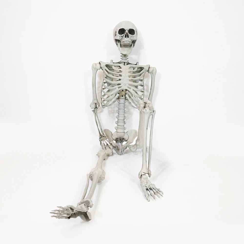 Full Body Life Size Halloween Decorations Skeleton Metal Skeletons For ...