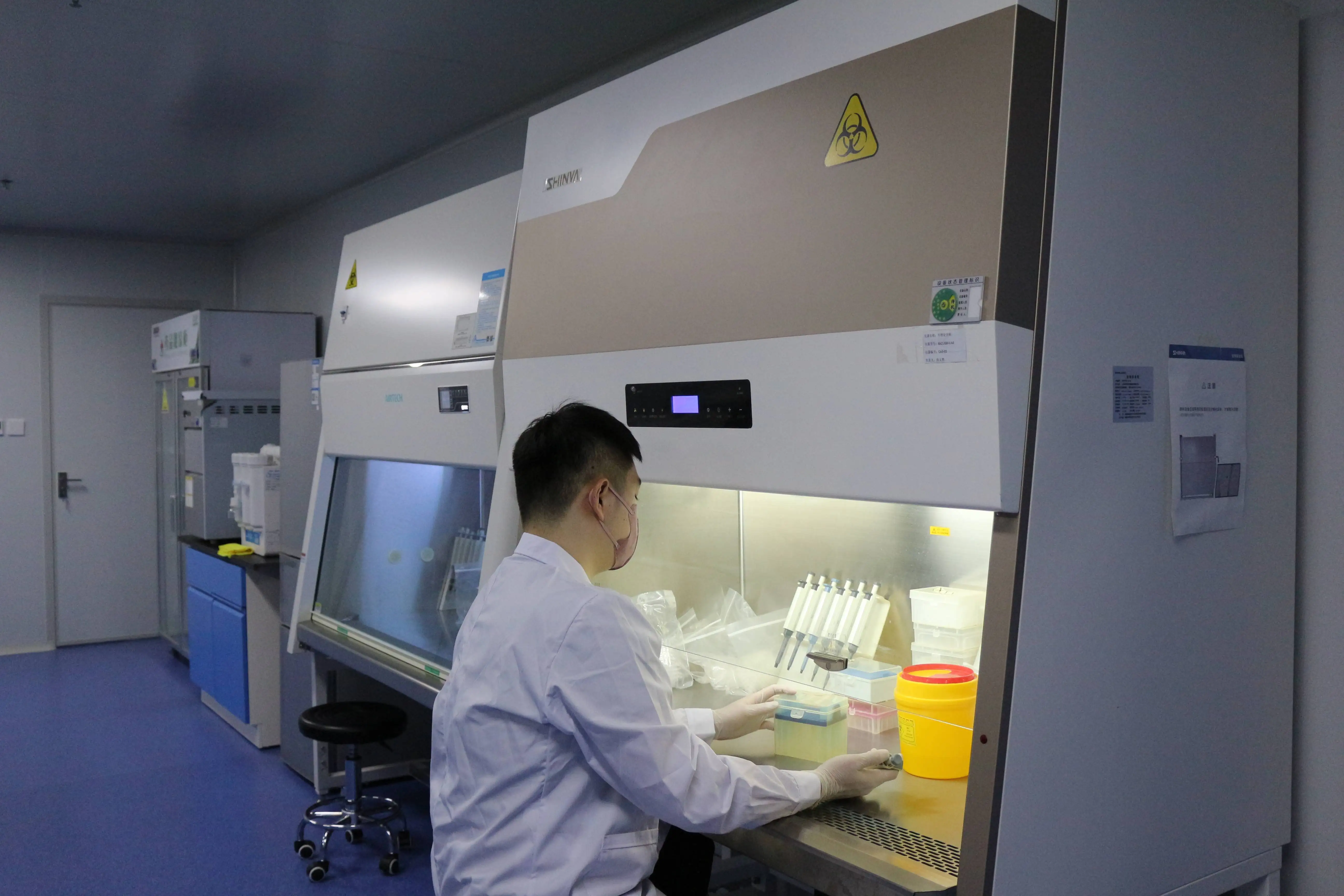 Gs 100bp Dna Ladder Dna Markers 250 Ul - Buy Lab Research Reagents ...