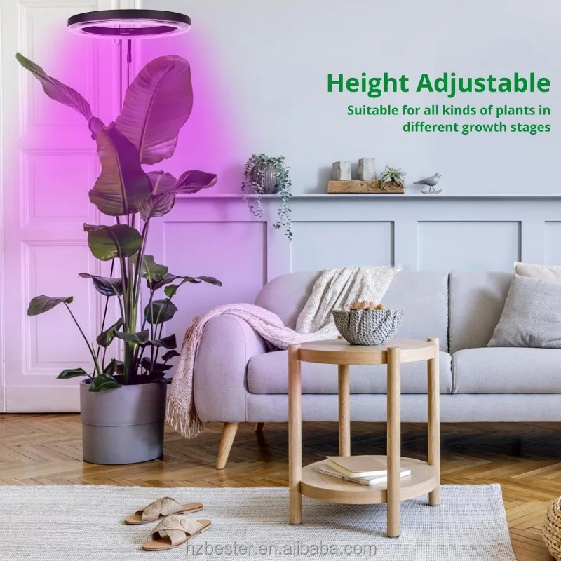 Ins Angel Ring Led Flower Pots Seeding Plants Led Aurora Glow Lamp for ...