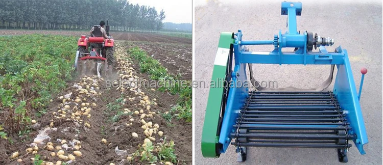 Hand Walking Tractor Mounted Sweet Potato Harvester / Potato Harvester ...
