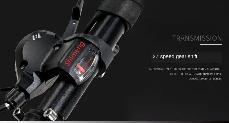 21 Speed Road Bike - Plegable Carbon Bicycles Philippines