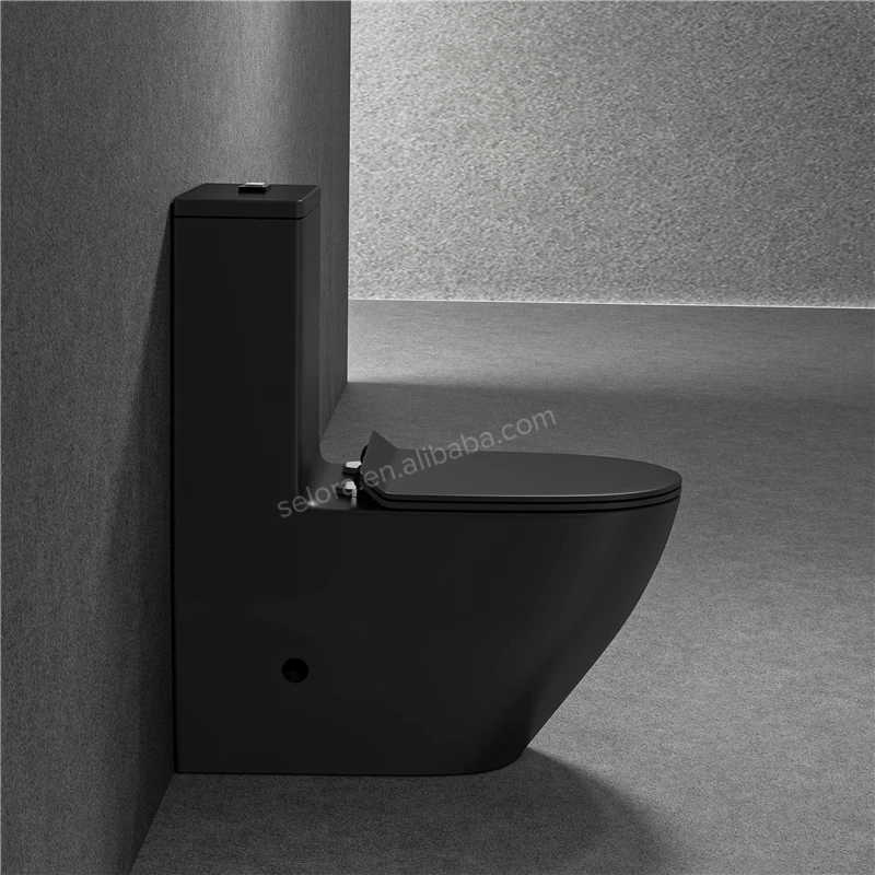 Wholesale Modern Bathroom Dual Flush Water Closet Ceramic Washdown ...