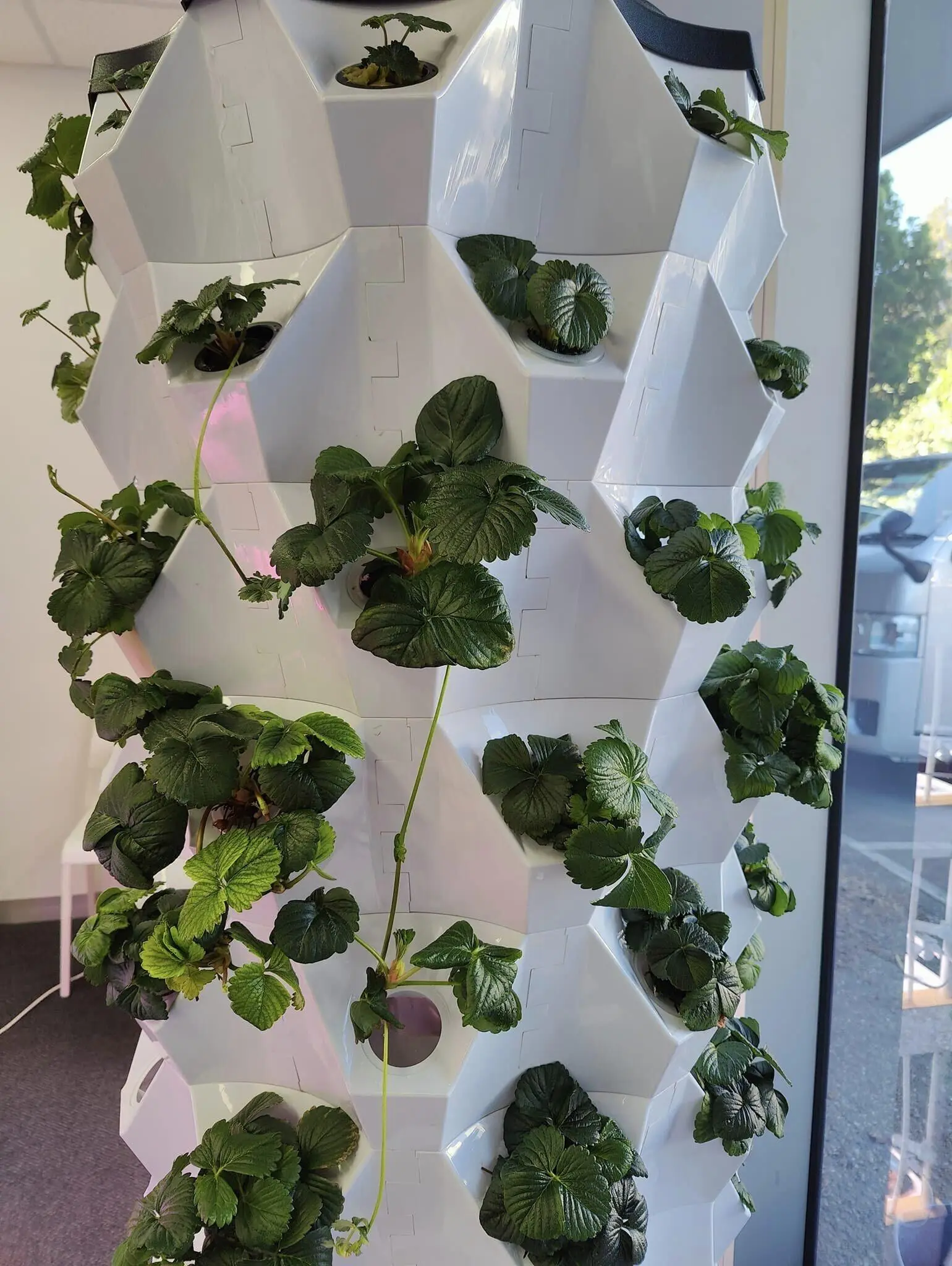 Vertical Farming Technology - Hydroponic Tower Growing System