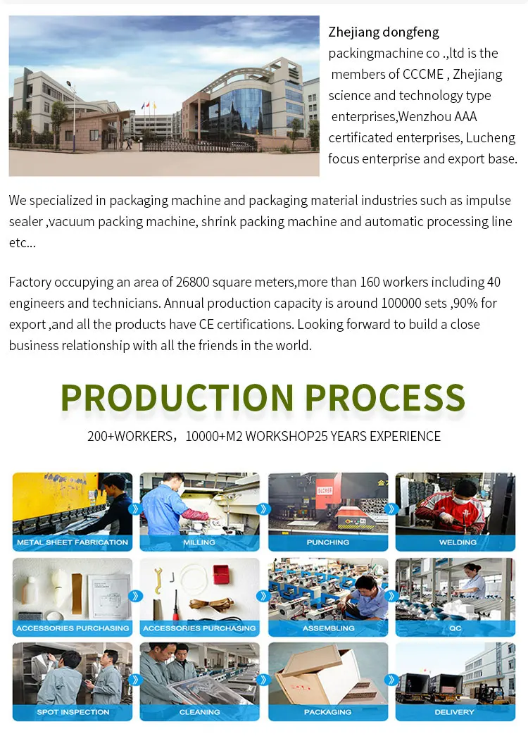 Industrial Vacuum Sealer Machine for Food Packing Storage