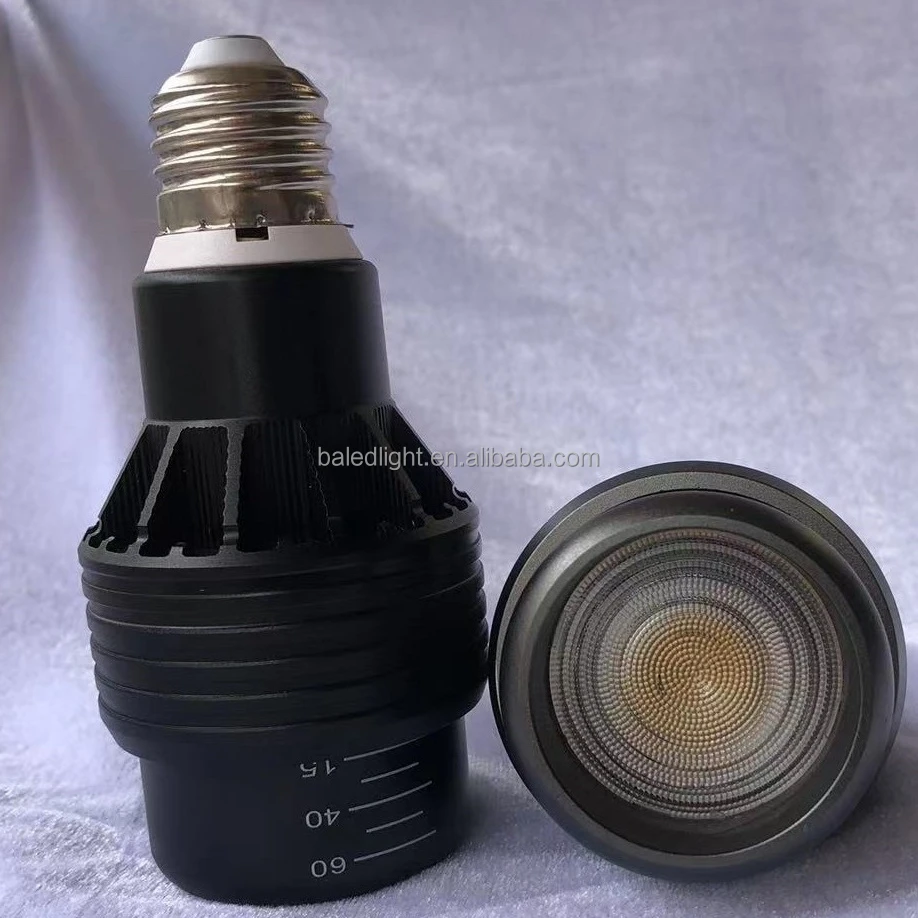 Par20 LED Bulbs - Versatile 12V and 24V Lighting Solutions