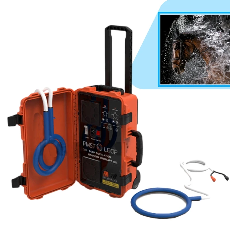 Magnetoterapia Therapy PEMF Equine PMST Loop for horse 6000 Gauss ...