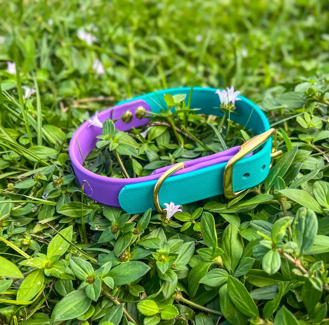 Newest Splicing Matching Pvc Dog Collar Durable Easy Clean Waterproof ...