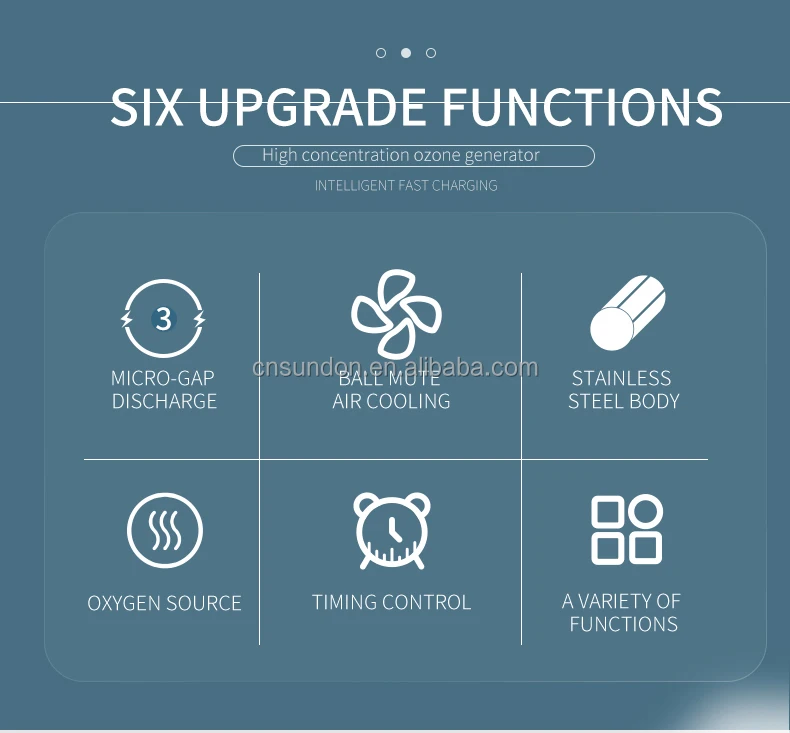 30g Water Treatment Quartz Glass Tube Ozone Generator For Food And ...