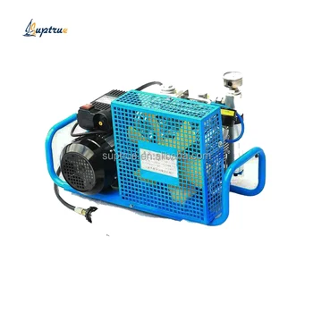 Suptrue High Pressure 100 L/min Portable Diving Scuba Breathing Air ...