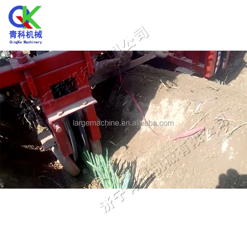 Onion Seedling Planter Onion Vegetable Transplanter Onion Transplanting ...