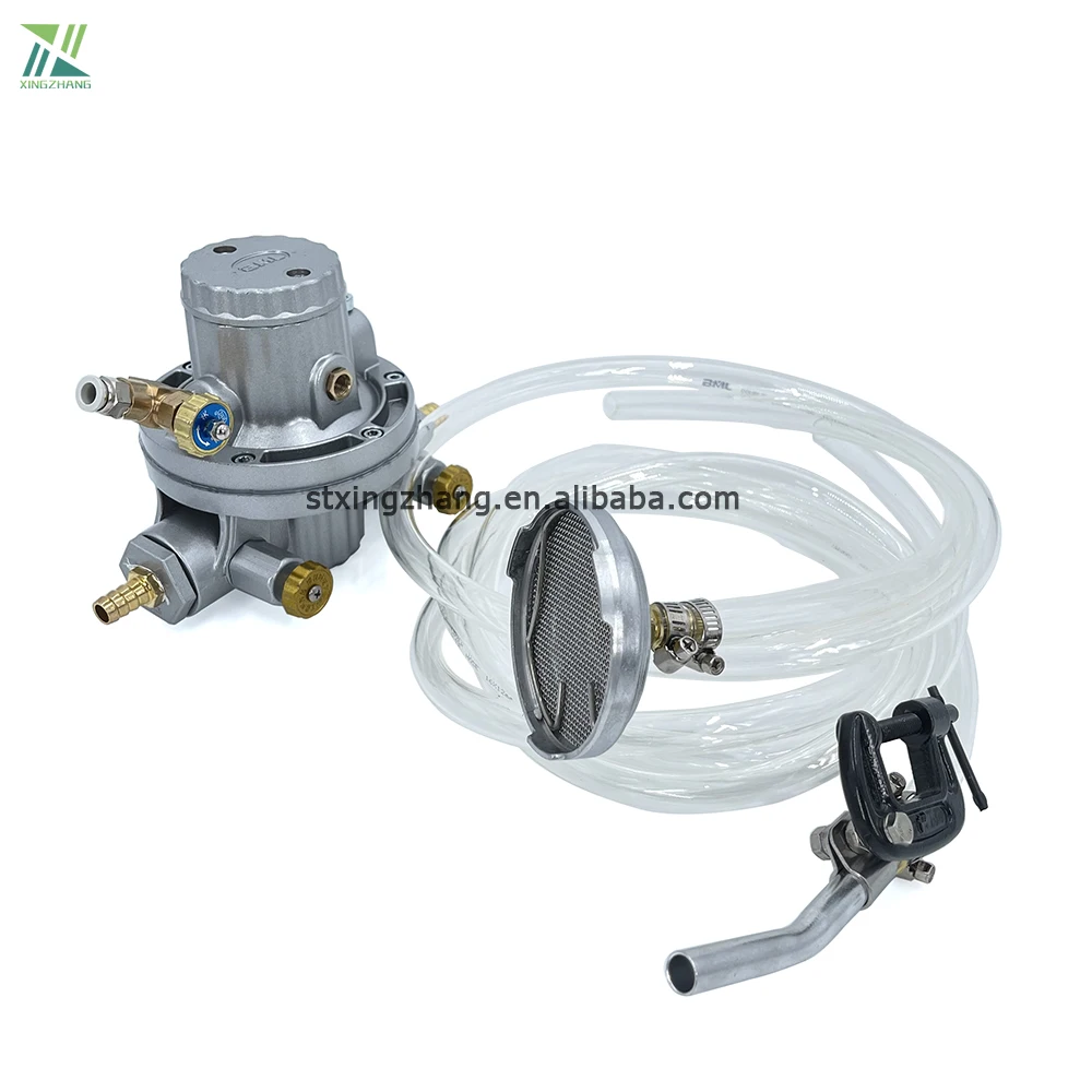 Pneumatic Diaphragm Pump for Printing Machine Ink Circulation