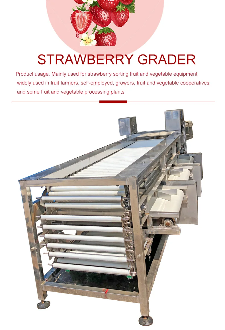 Grade Machine Fruit Sort Strawberry Grading Size Sorting Machine