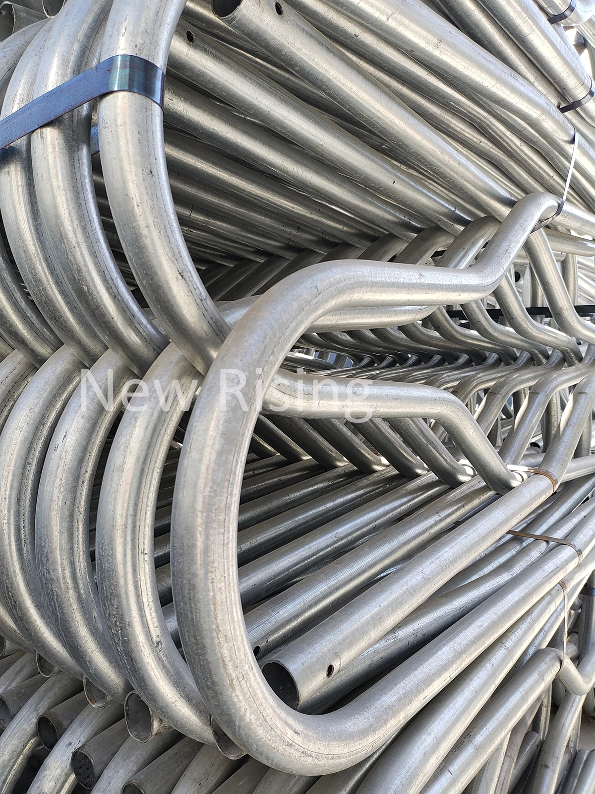 Galvanized Steel Cubicle Cow Managing System Free Stall for Barn Dairy ...