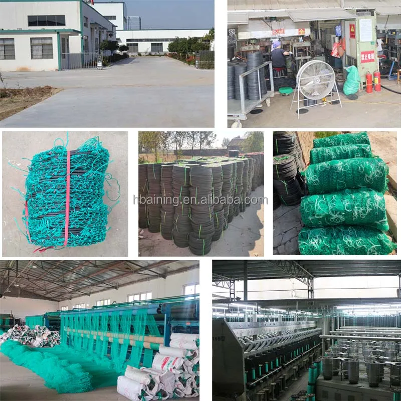 Scallop Hatchery - Efficient Culture Nets for Aquatics