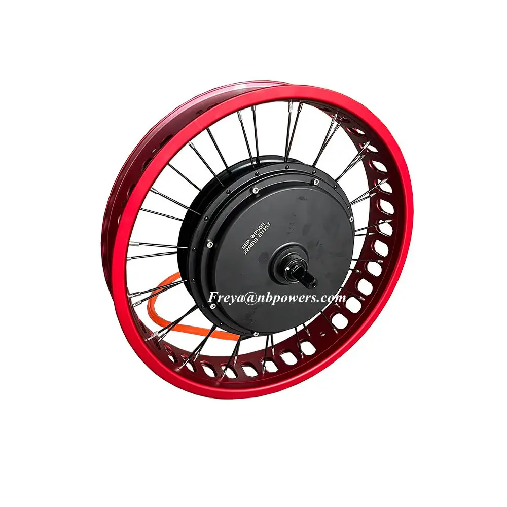 QS 205 V3 Hub Motor - 3000w/5000w Electric Bike Kit