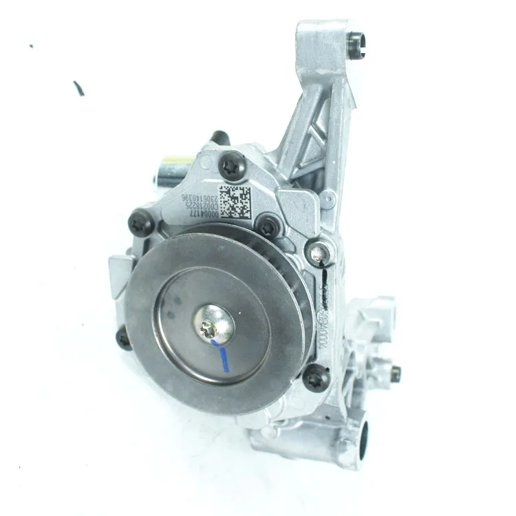 Oil Pump C00218225/c00168789 For Maxus D20 Auto Engine System Car Spare ...