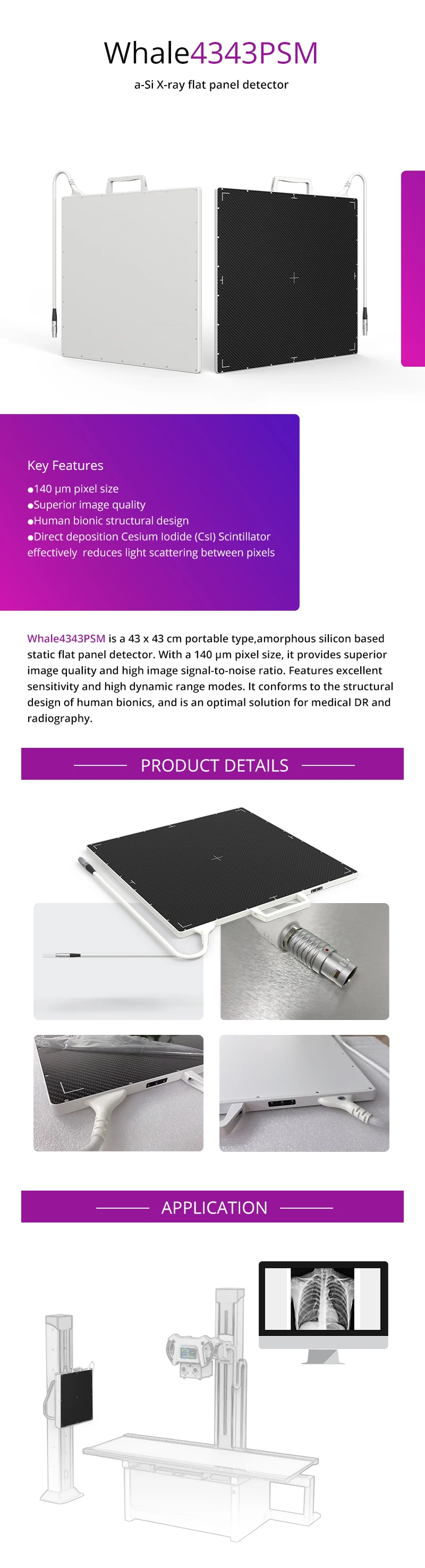 Digital Radiography X Ray Flat Panel Detector For Veterinary Usage X-ray Dr For Xray Machine ...