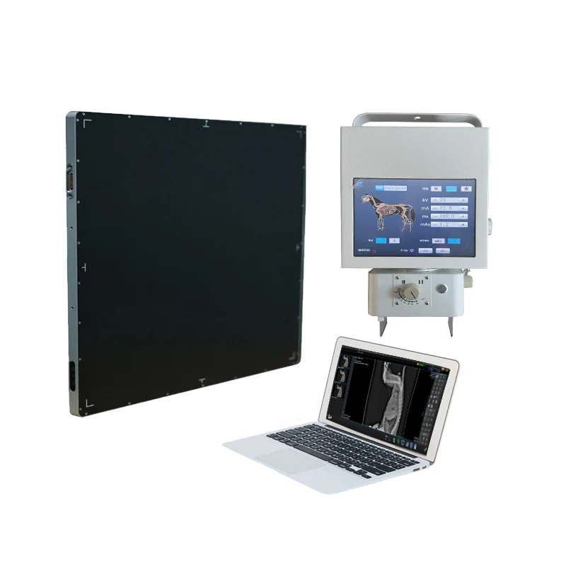 5kW portable veterinary DR digital x ray machine cat and dog pet Clinic ...