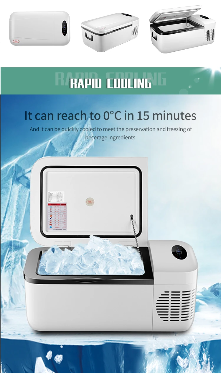 New Design Portable Auto Refrigerator 12l Mini Fridge Portable ...