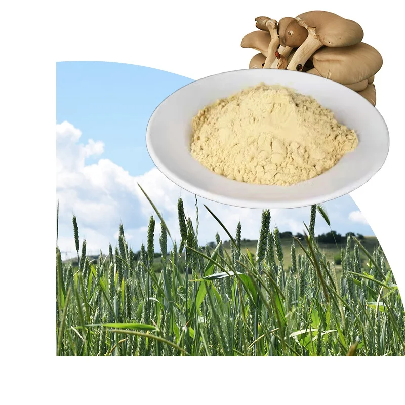 Natural Food Grade Chitin Chitosan/mushroom Chitosan Aspergillus Niger ...