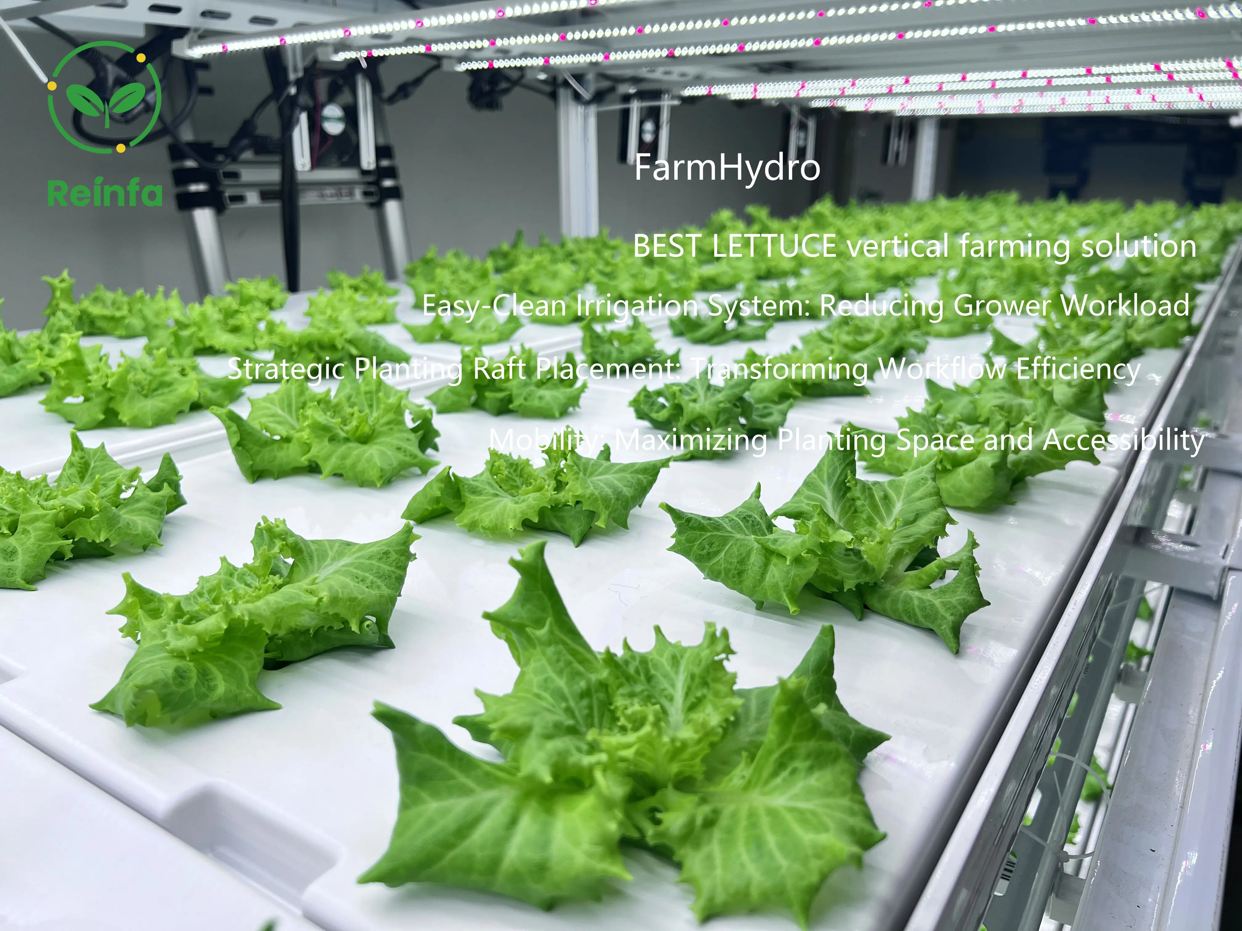 Grow Rack System with Optimal Spectrum LED Light for Lettuce| Alibaba.com