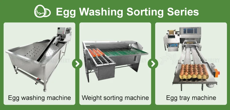 FARM Egg Grading Machine Egg Weight Sorting Machine Egg Grading and ...